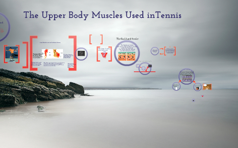 The Upper Body Muscles Used in Tennis by Beatrice Ark-Majiyagbe on Prezi