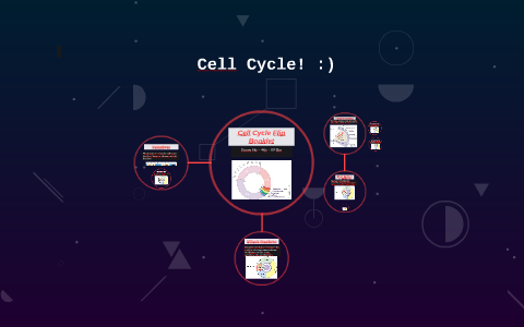 Cell Cycle Flip Booklet by Kay H on Prezi