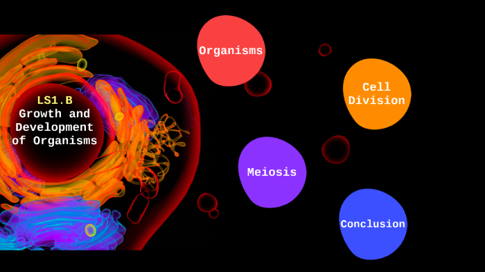 Growth and Development of Organisms (Concept Map) by Cameron Moss on Prezi