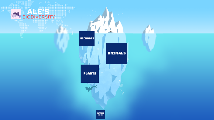 ALE'S by alessandro pacetti on Prezi