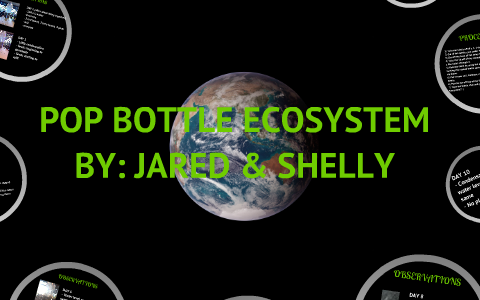Pop Bottle Ecosystem by Jared Khalifa on Prezi
