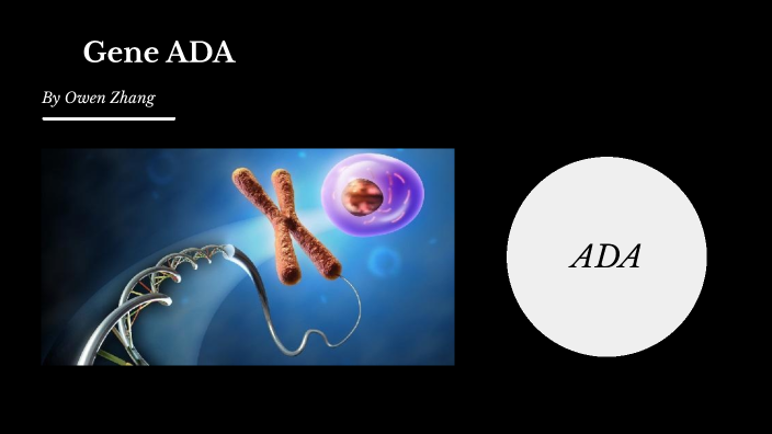 ADA Gene Project by Owen Zhang on Prezi