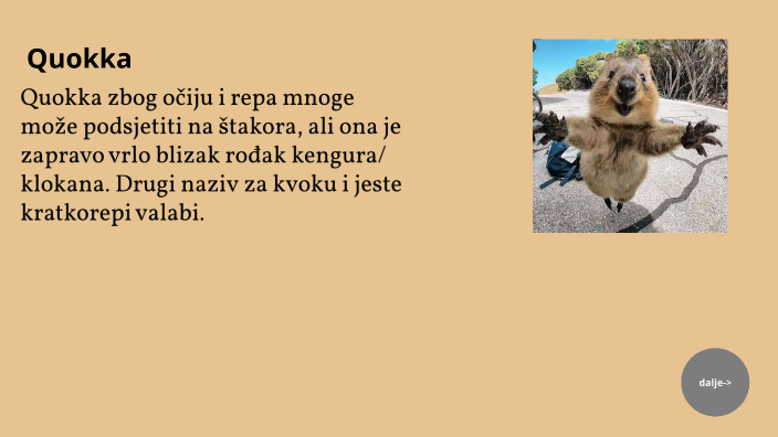 Merjem by Merjem Vehabovic on Prezi