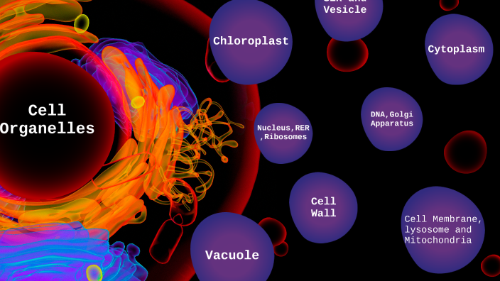 Cell Organelle Project by Saksham Sakhuja on Prezi