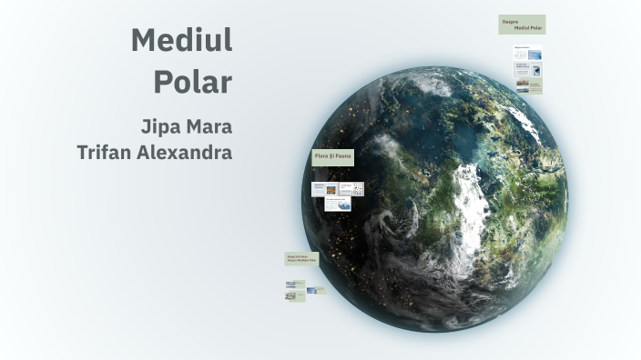 The Polar Environment by Alexandra Trifan on Prezi
