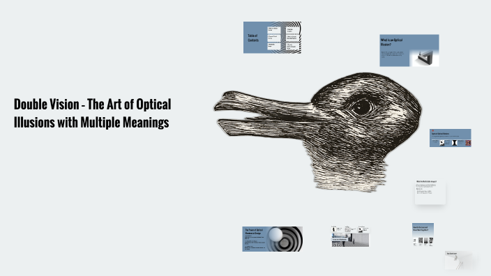 Double Vision – The Art of Optical Illusions with Multiple Meanings by ...