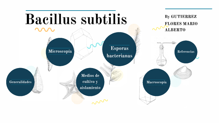 Bacillus subtilis by Jesus Ismael Balcazar Aguirre on Prezi