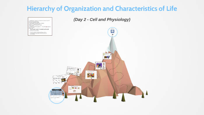 Hierarchy of Organization and Characteristics of Life (Day 2) by ...