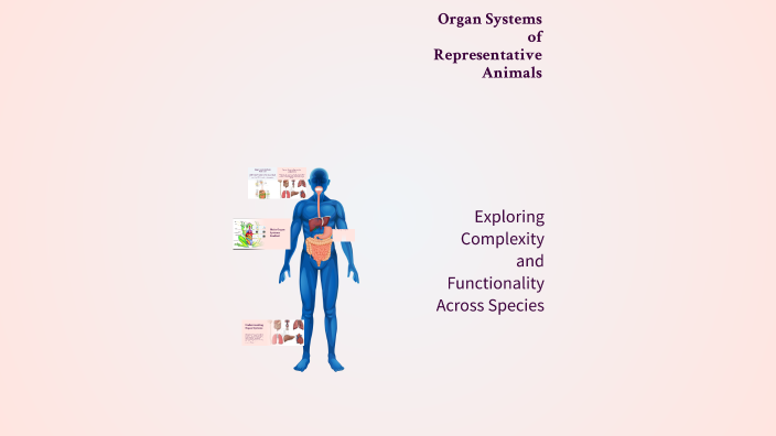 Organ Systems of Representative Animals by Fiona Manliguez on Prezi