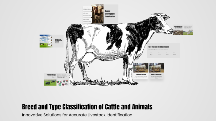 Breed and Type Classification of Cattle and Animals by Vipul Pal on Prezi