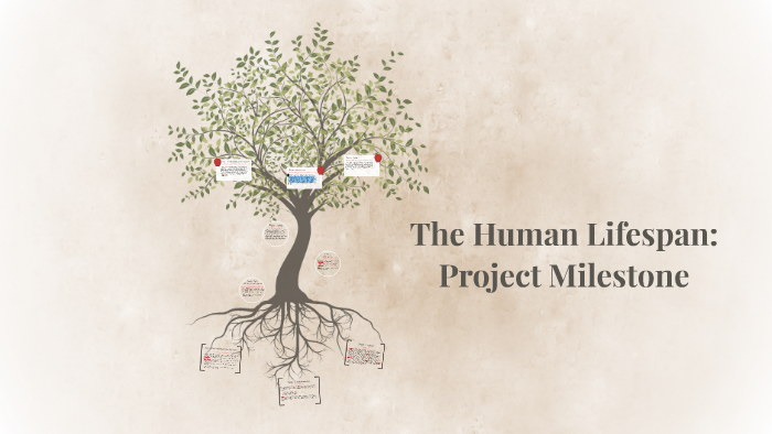 The Human Lifespan ~ Project Milestone by Hana Barker on Prezi