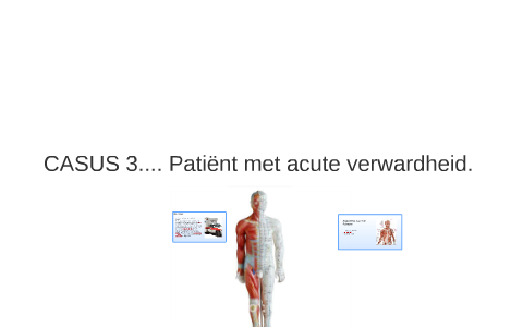CASUS 3.... Patient met acute verwardheid. by vincent van Reenen on Prezi