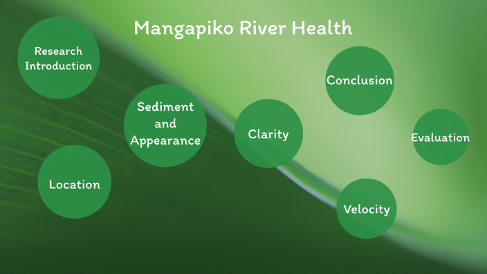 Mangapiko River Health by Marissa McGill on Prezi