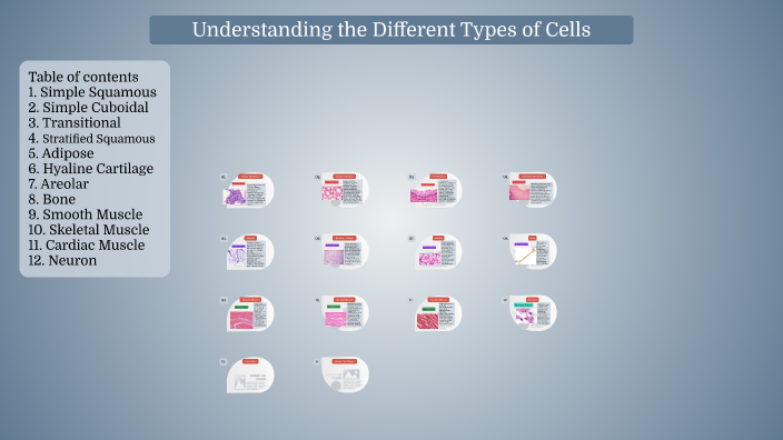 Understanding the Different Types of Cells by Anthony Barca on Prezi