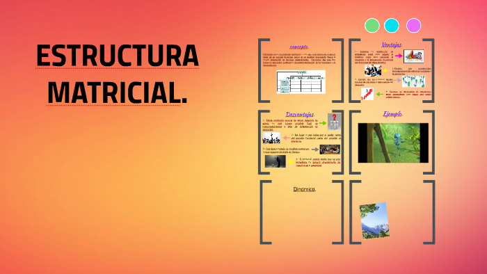 ESTRUCTURA MATRICAL. by diana perez on Prezi