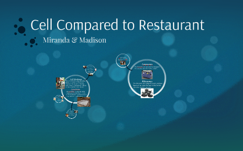 Cell Compared to Restaurant by Madison Bangs on Prezi
