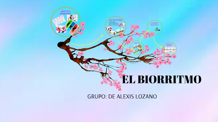 ¿QUÉ ES EL BIORRITMO? by ALE LOZANO PINEDO on Prezi