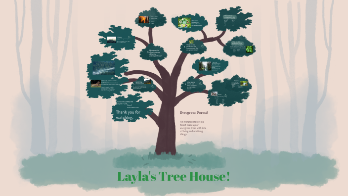 Layla's Tree House by River Oaks Elementary on Prezi