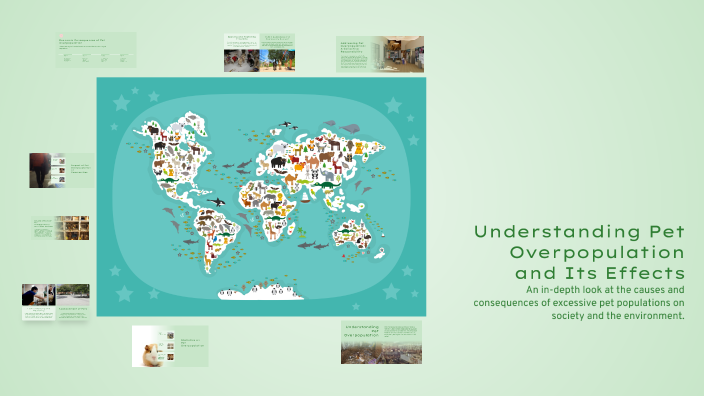 Understanding Pet Overpopulation and Its Effects by Ava Jackson on Prezi