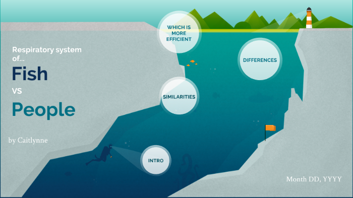 Comparison of the respiratory system of fish and humans by Caitlynne S ...