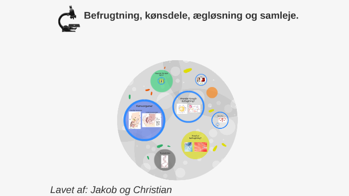 Befrugtning, kønsdele, ægløsning og samleje. by Christian Bahr on Prezi