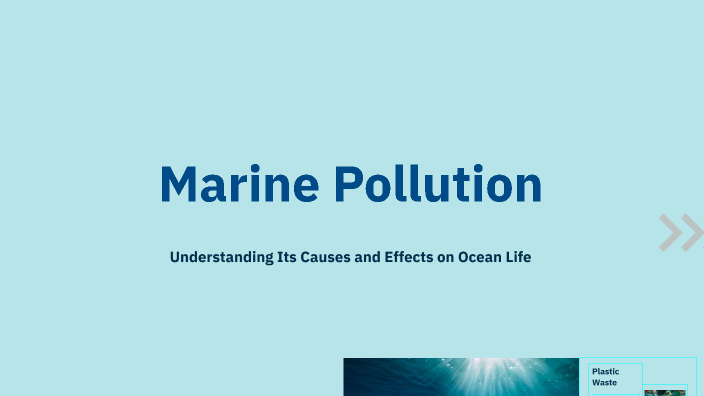 Marine Pollution by Aimee HATCH on Prezi