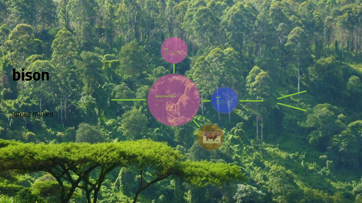 biso by James Mullen on Prezi
