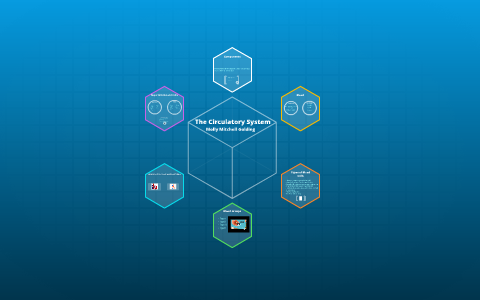 The Circulatory System by Molly Golding on Prezi