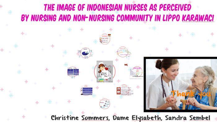THE IMAGE OF INDONESIAN NURSES AS PERCEIVED BY NURSING AND by Dame ...