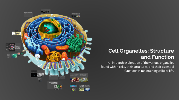 Cell Organelles: Structure and Function by Ayushi Sharma on Prezi