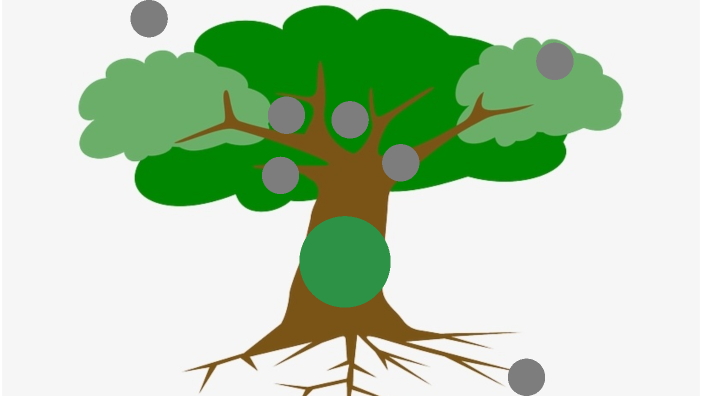 Tree of Reasoning by Emylie Althoff on Prezi
