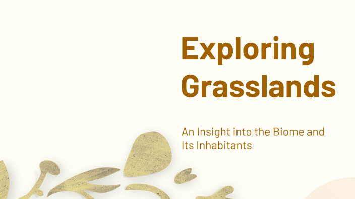 Exploring Grasslands by xyon cadogan on Prezi