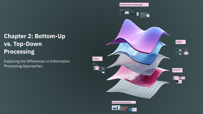 Chapter 2: Bottom-Up vs. Top-Down Processing by Giuliana Gonzalez on Prezi