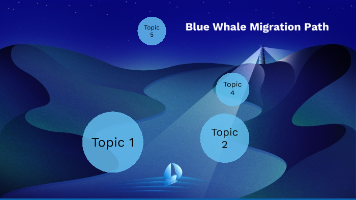 Blue Whale Migration Path by Young Desk on Prezi