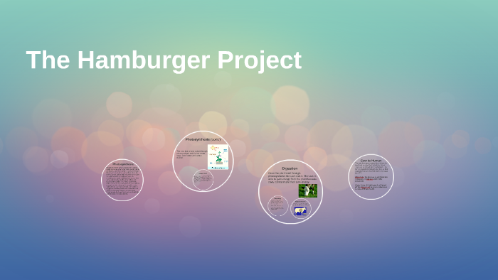 What is Photosynthesis? by Cara Stapleton on Prezi