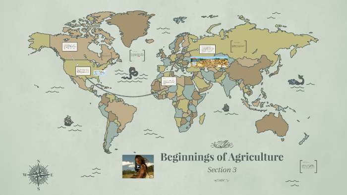Beginnings of Agriculture by Jessica Hayes on Prezi