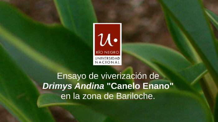 Presentación 2018 Canelo Enano by Tomas Makek on Prezi