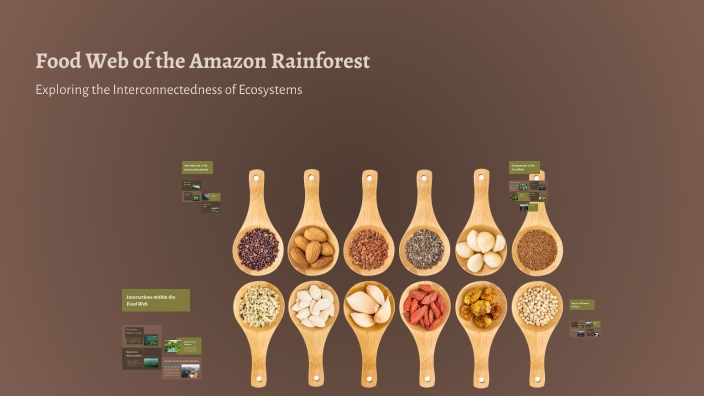 Food Web of the Amazon Rainforest by Elena Chavira on Prezi