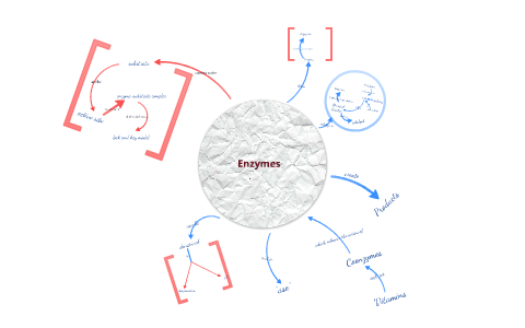Enzyme Concept Map by Hannah Hoang on Prezi