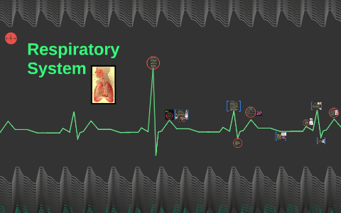 Respiratory System by Keeara Auguste on Prezi