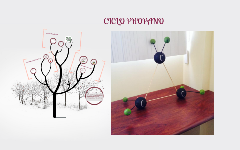 CICLO PROPANO by QUIMICA ORGANICA on Prezi