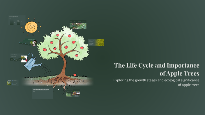 The Life Cycle and Importance of Apple Trees by Aniya Coleman on Prezi