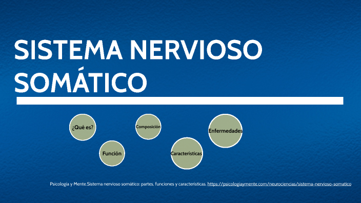 SISTEMA NERVIOSO SOMÁTICO by Luna Valentina MATIAS VALERA on Prezi