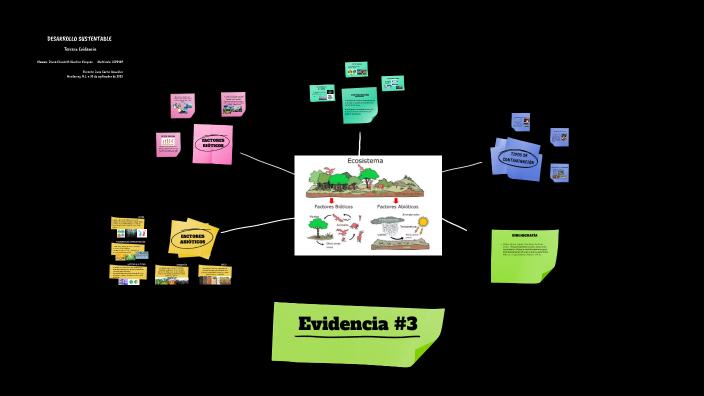Evidencia 3 - Desarrollo Sustentable by Diana S on Prezi