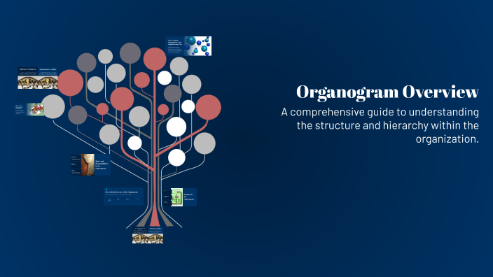 Organogram Overview by Md. Sohel Rana ICT Officer on Prezi