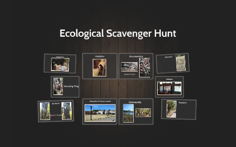 Ecological Scavenger Hunt by Payton McGough on Prezi