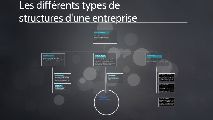 Les différents types de structures d'une entreprise by Med Ali Arfaoui ...