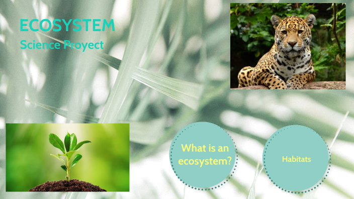 ECOSYSTEMS by santiago jimenez on Prezi