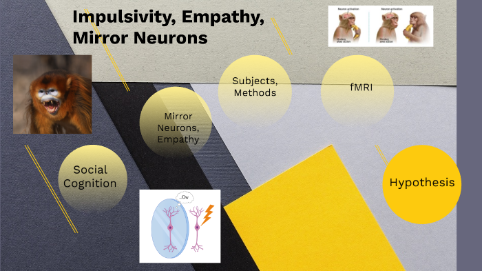 Impulsivity, Empathy, Mirror Neurons by Jacob Hunter
