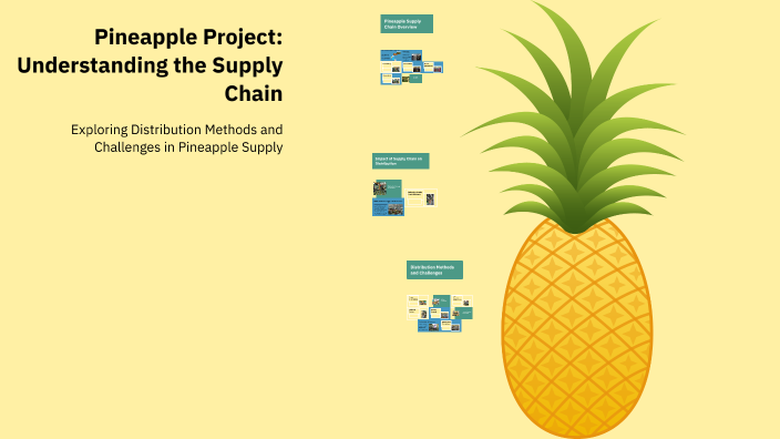 Pineapple Project: Understanding the Supply Chain by Brianna Gaspar on Prezi